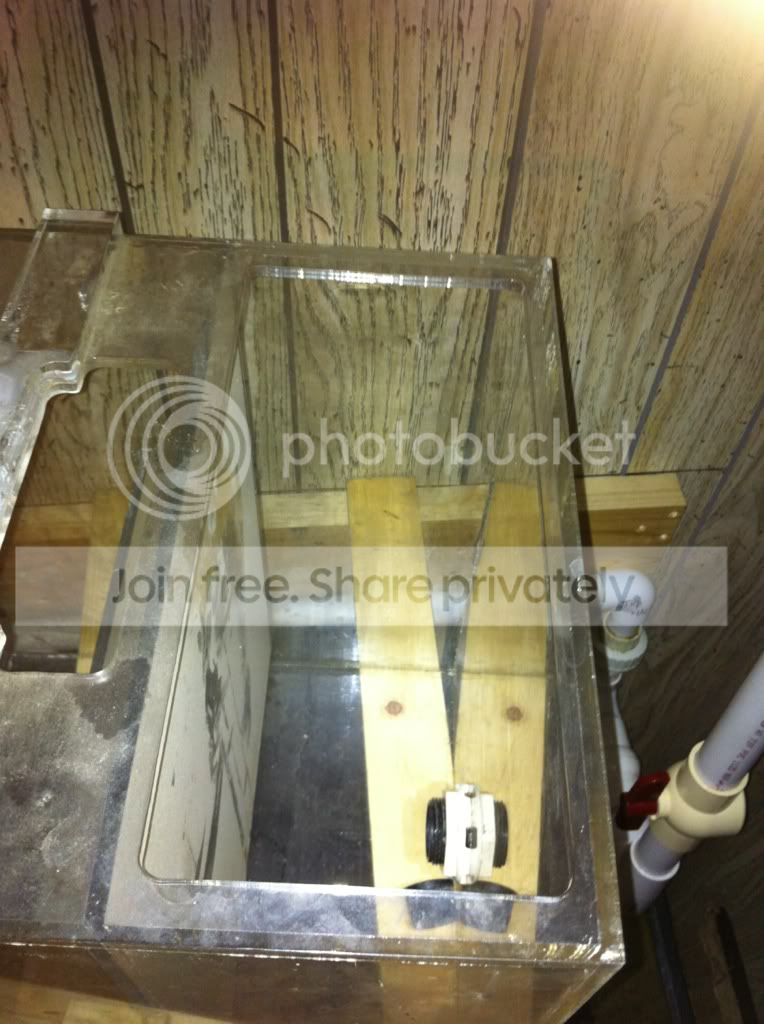 DIY algae turf scrubber in a fuge chamber? | Reef Central Online Community