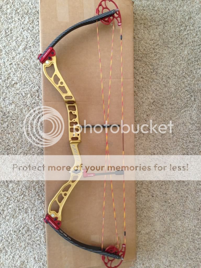 Custom Athens Excel - MUST SEE | Archery Talk Forum